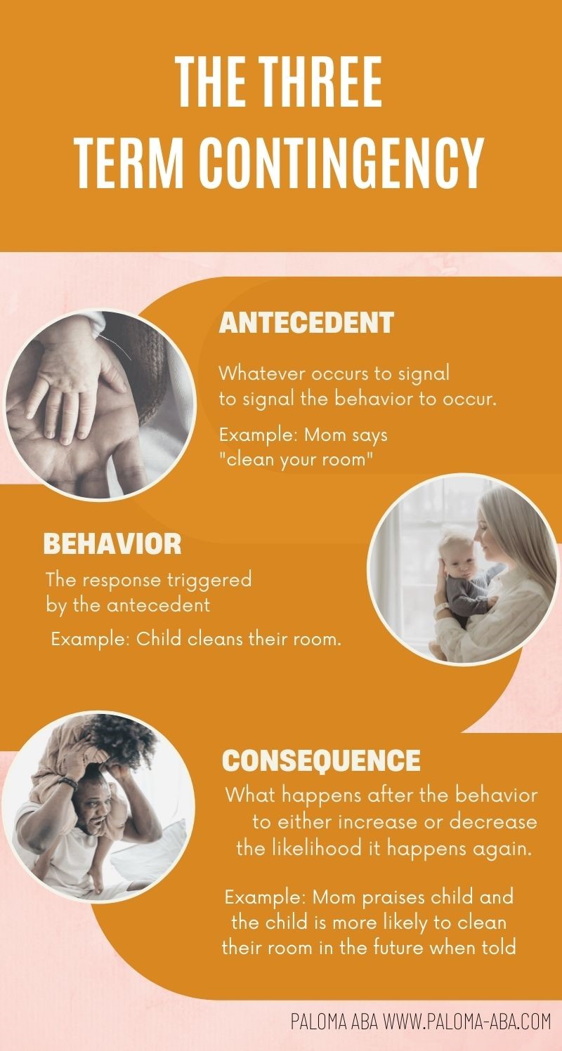 FREEBIES – Study Paloma